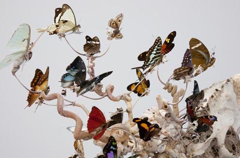 May 2013: The Nature of the Beast @ The New Art Gallery Walsall